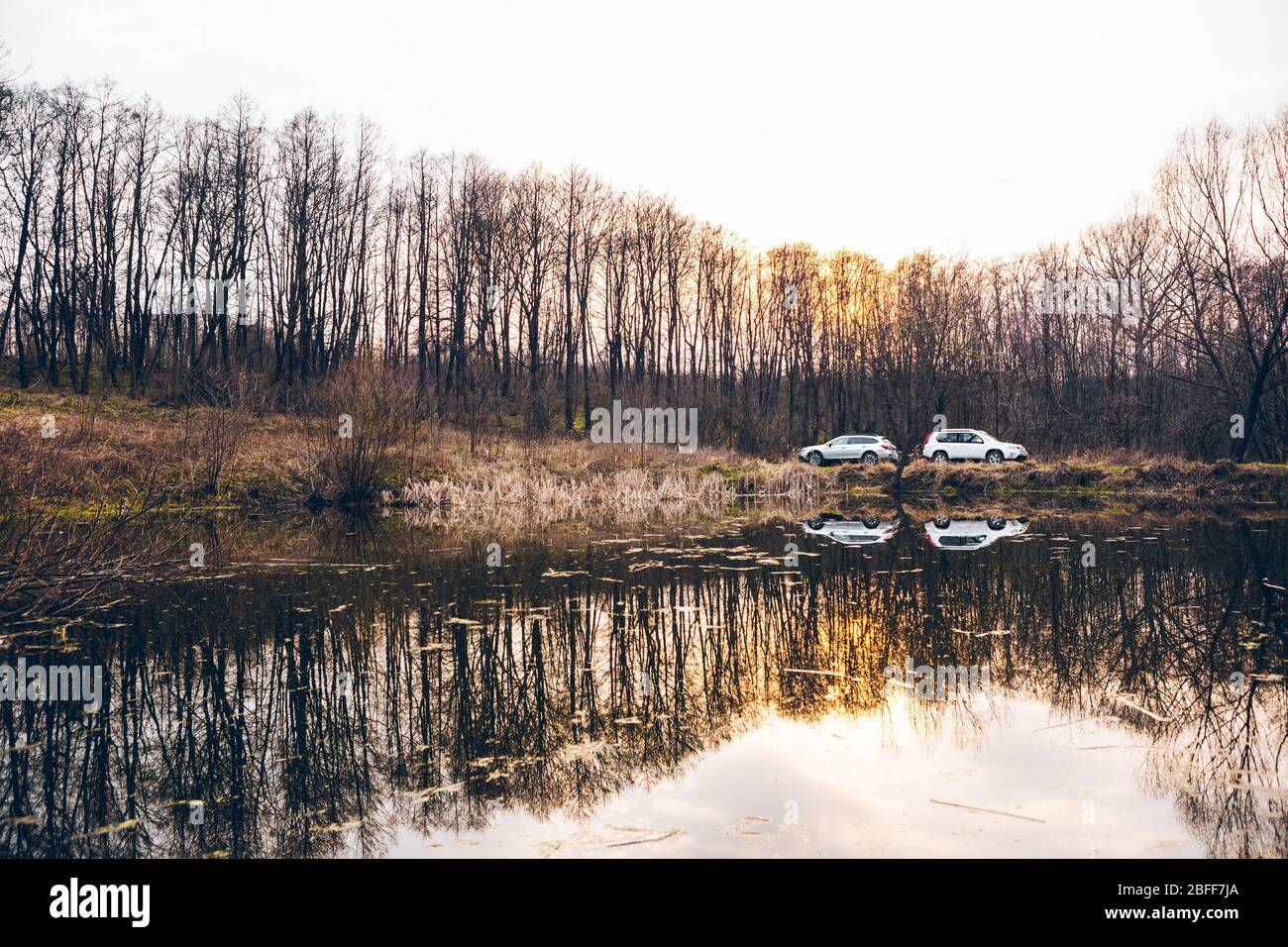 two suv car in forest. foot path Stock Photo - Alamy