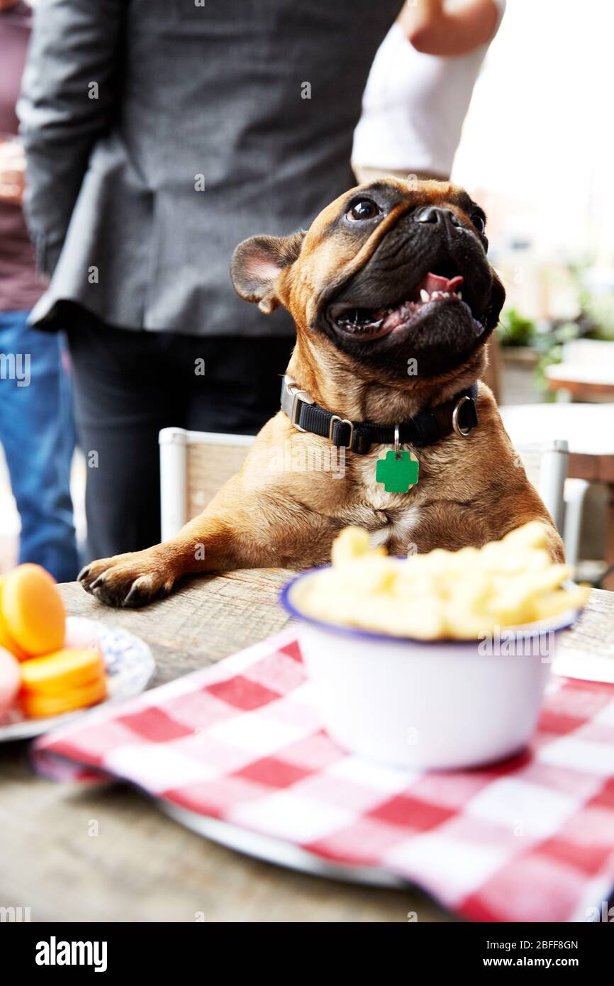 Frenchie restaurant hi-res stock photography and images - Alamy