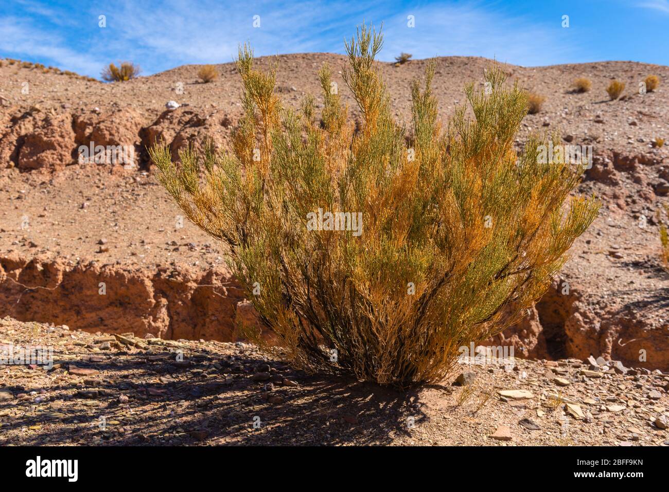 Abandoned Farm Patahuasy, Andean Puna, Susques, Department Jujuy ...