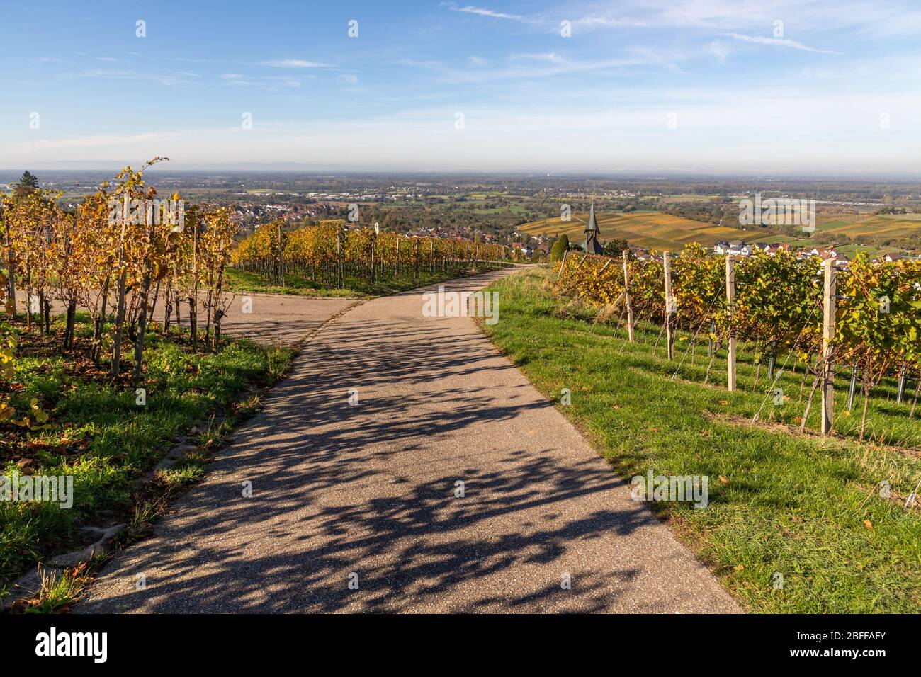 Varnhalt vineyard with village in background, Baden Baden, Germany ...