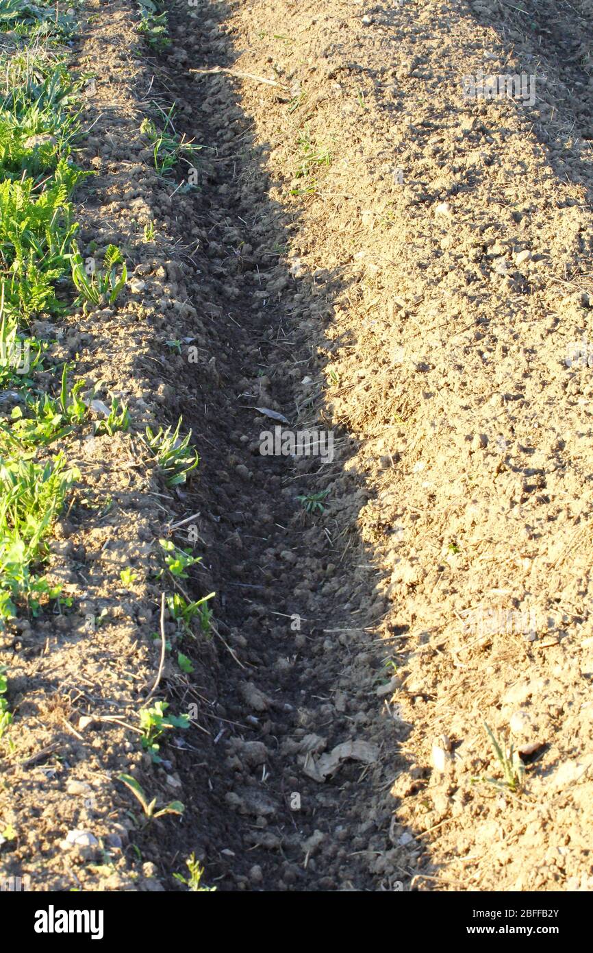 Plowed garden hi-res stock photography and images - Alamy