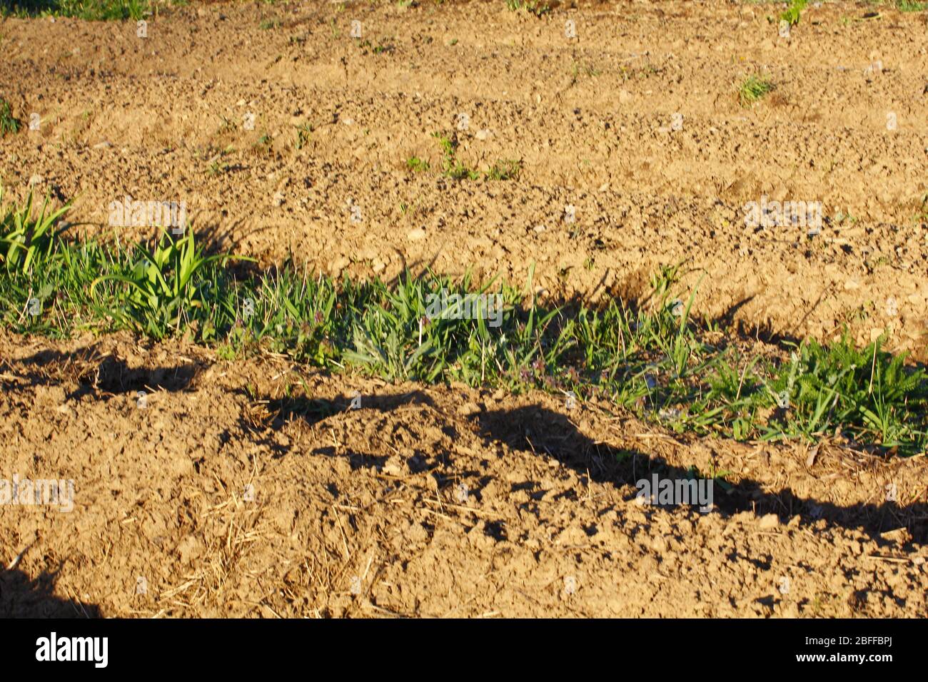Newly Plowed Garden Stock Photo - Alamy