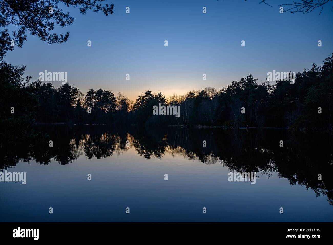 Thursley National Nature Reserve, SSSI, Surrey Stock Photo - Alamy