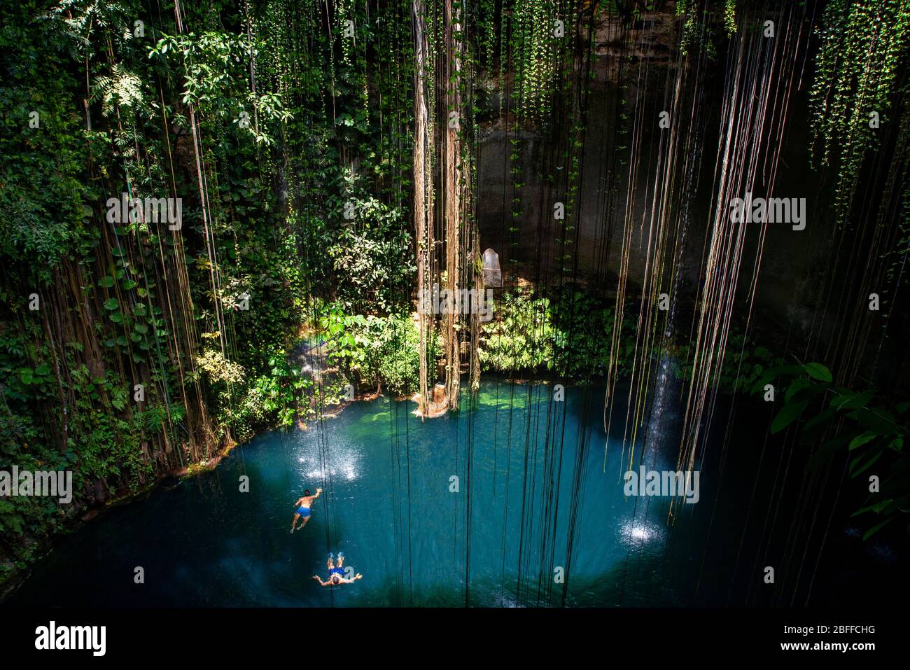 Swimming at Cenote Ik Kil in Yucatan, Mexico, a natural pit, or ...