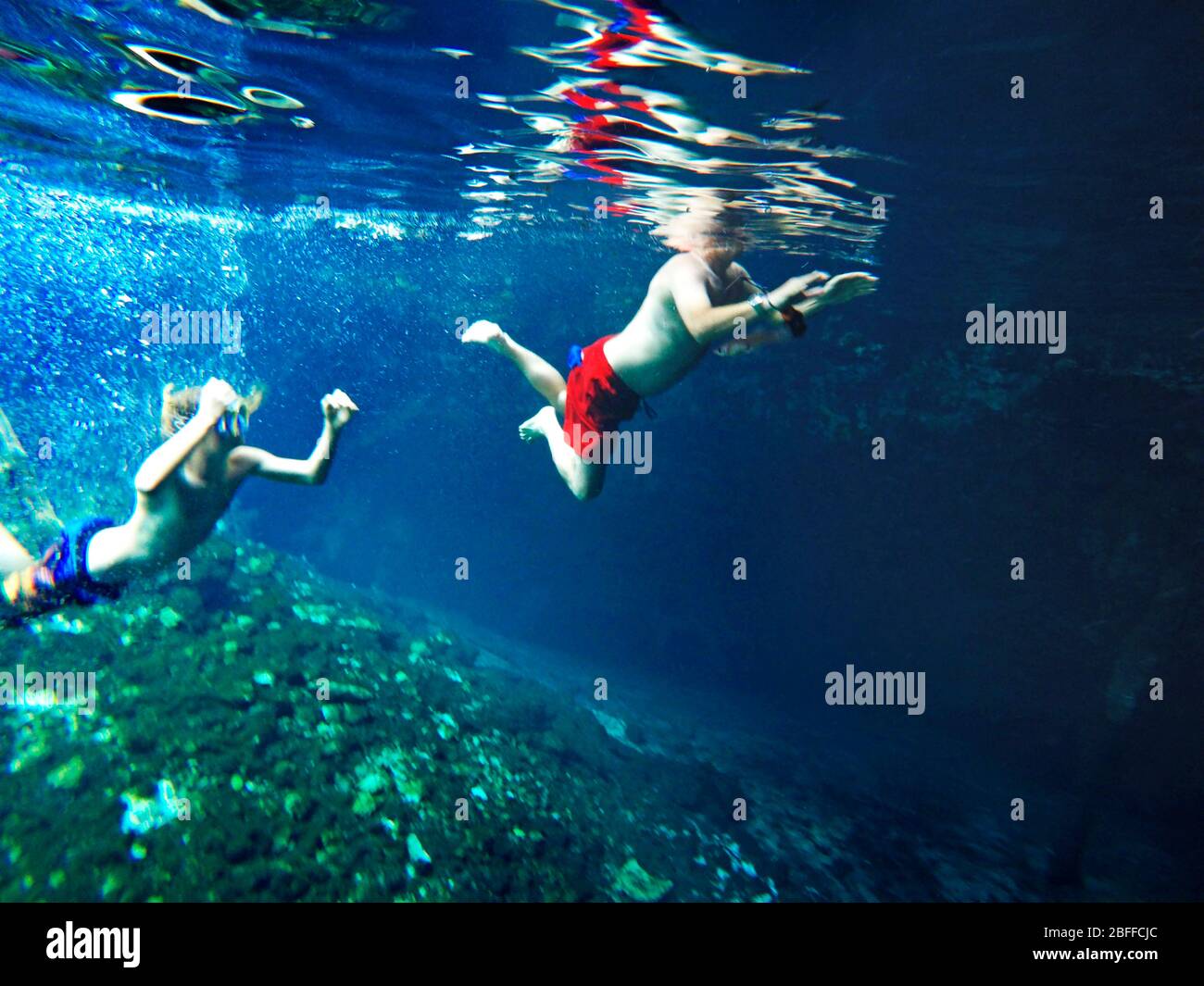 Gran Cenote de Tulum in Yucatan Peninsula, Quintana Roo, Mexico. There ...