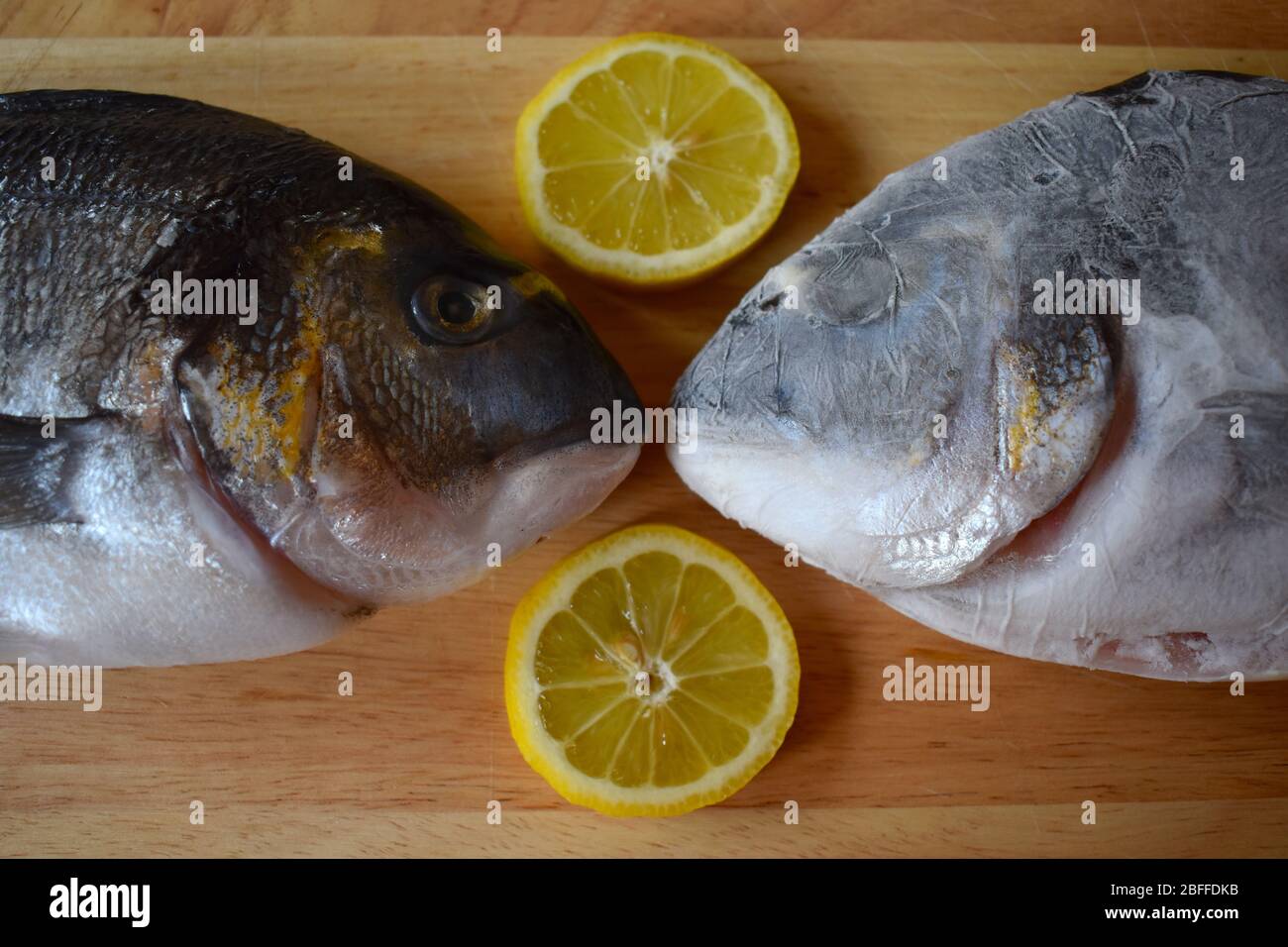 Mediterranean sea bream catch of the day versus frozen. Silver fish ...