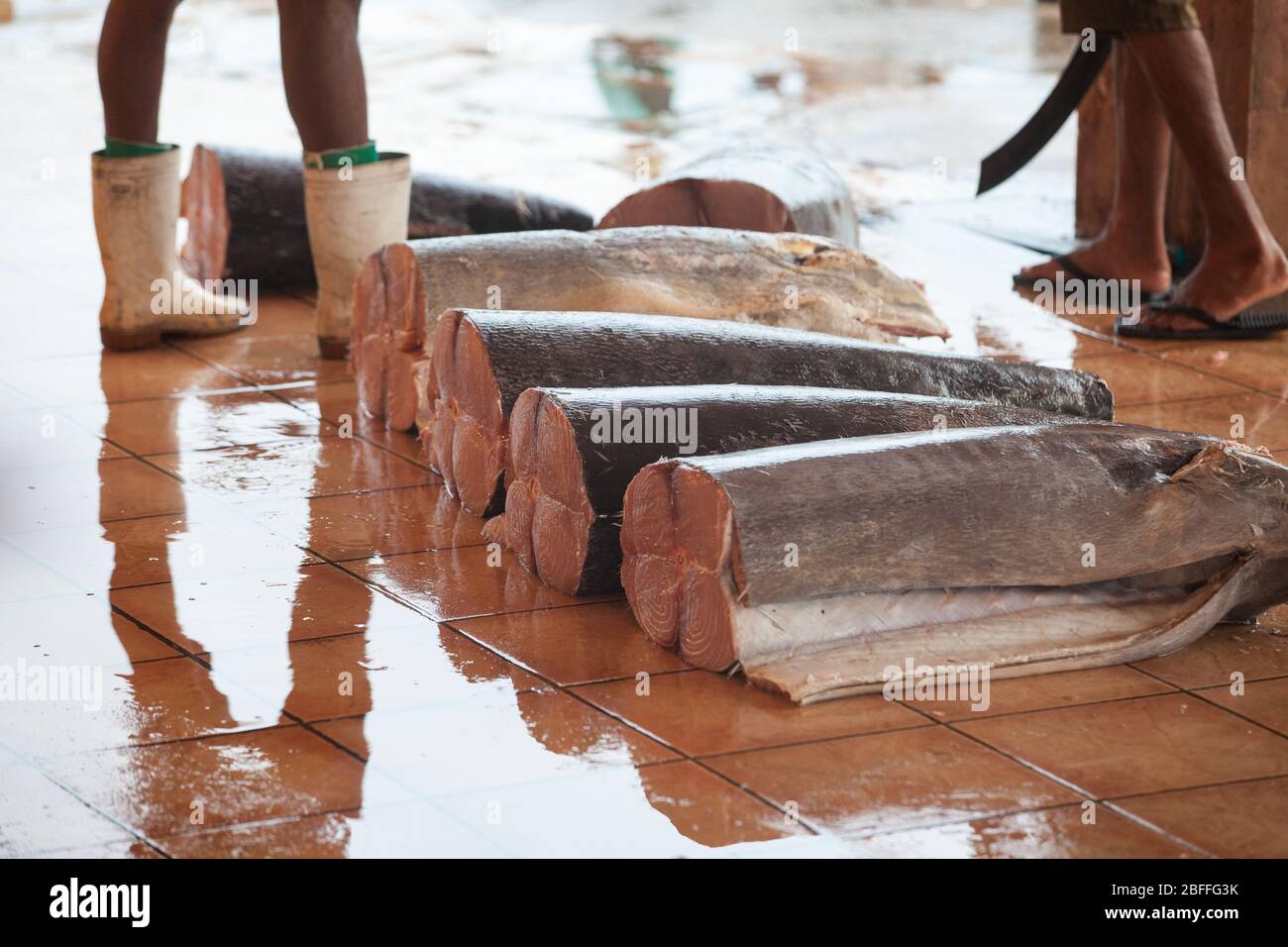 Fish industry series hi-res stock photography and images - Alamy