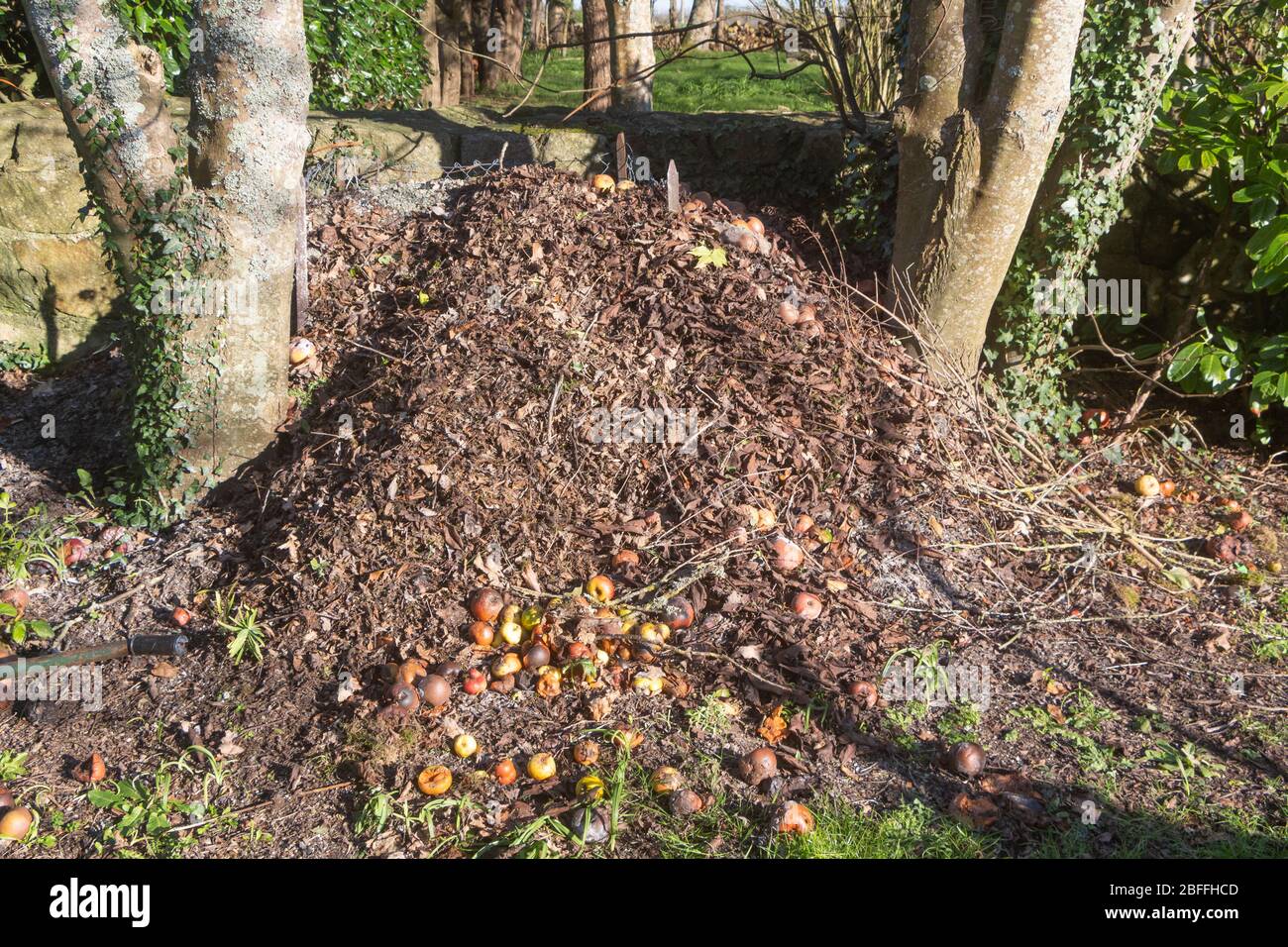 Compost dead leaves hi-res stock photography and images - Alamy