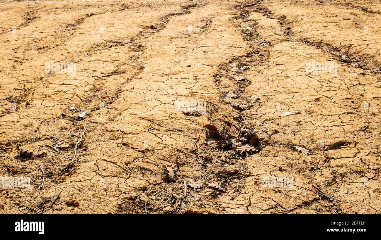 Yellow soil hi-res stock photography and images - Alamy