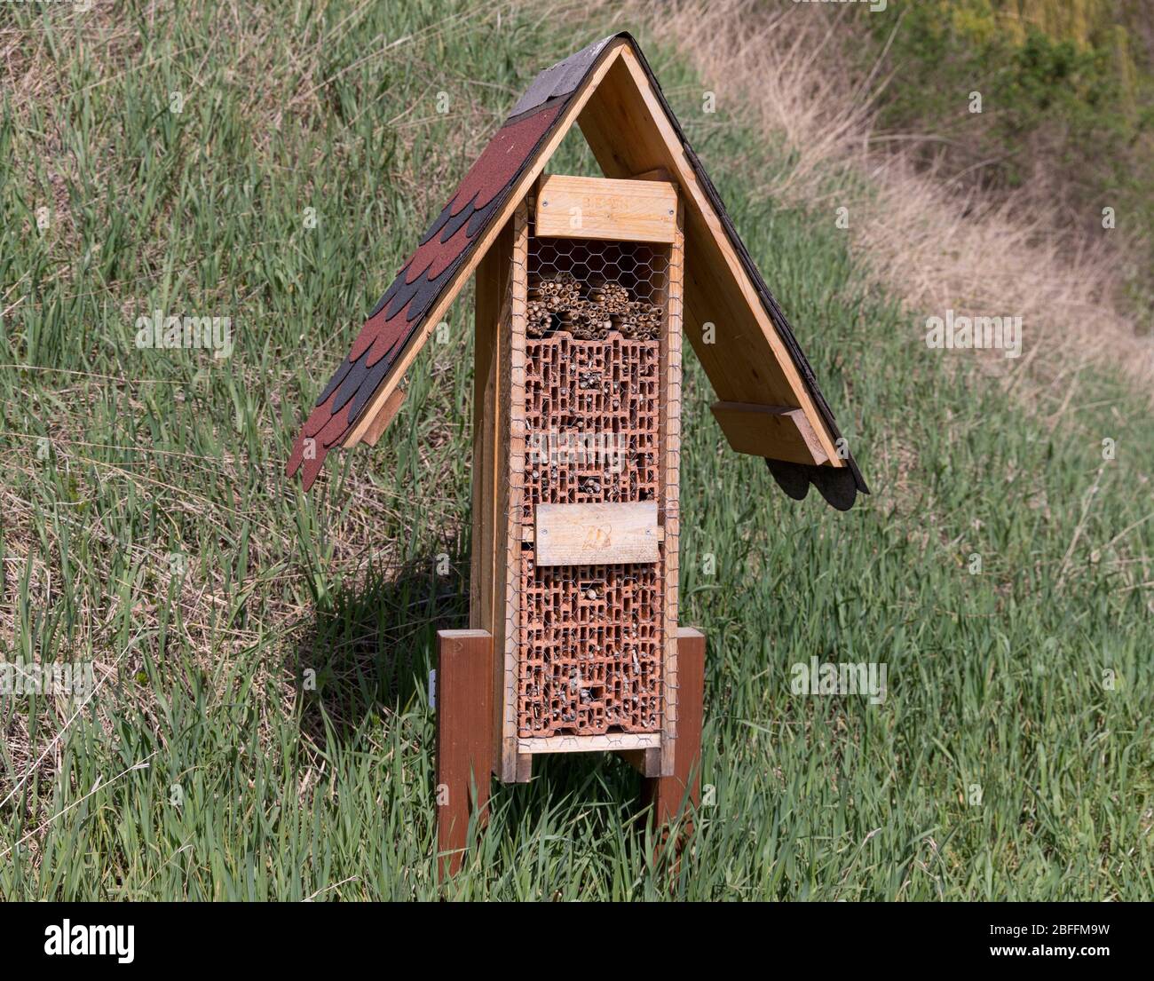 Insects overwinter hi-res stock photography and images - Alamy