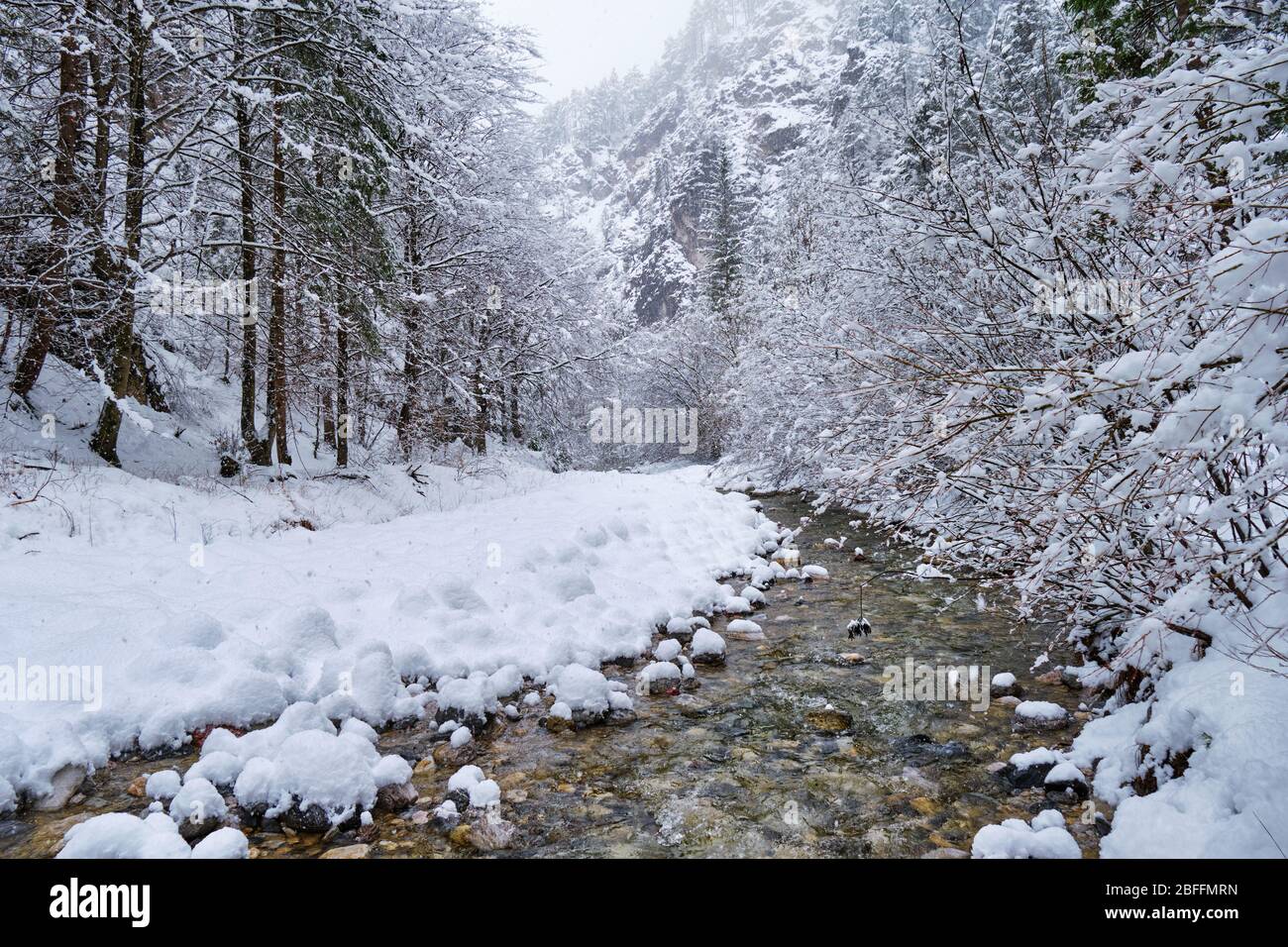 Scenic landscape with flowing river at winter morning, Tarvisio, Italy ...