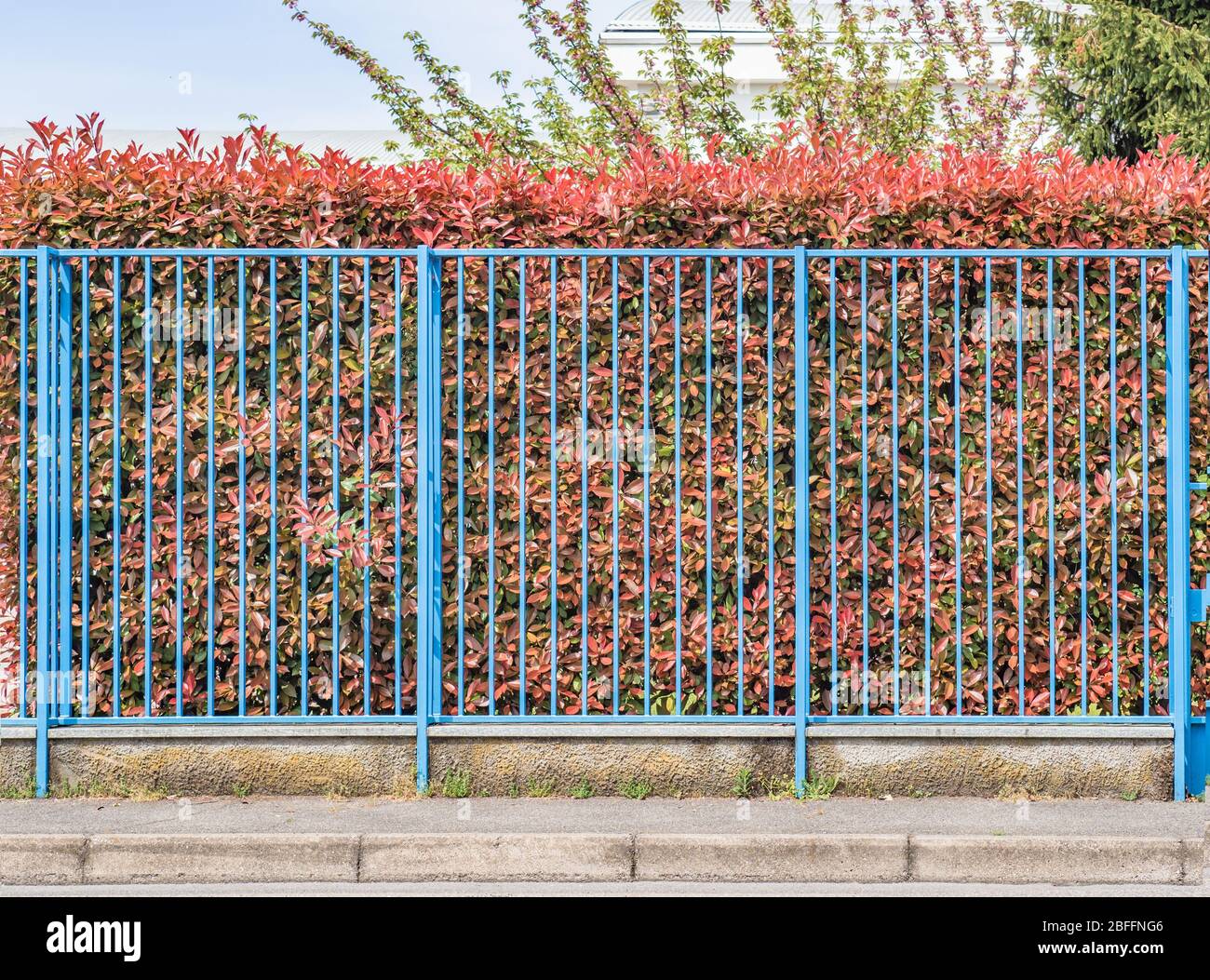 Blue railing fence hi-res stock photography and images - Alamy