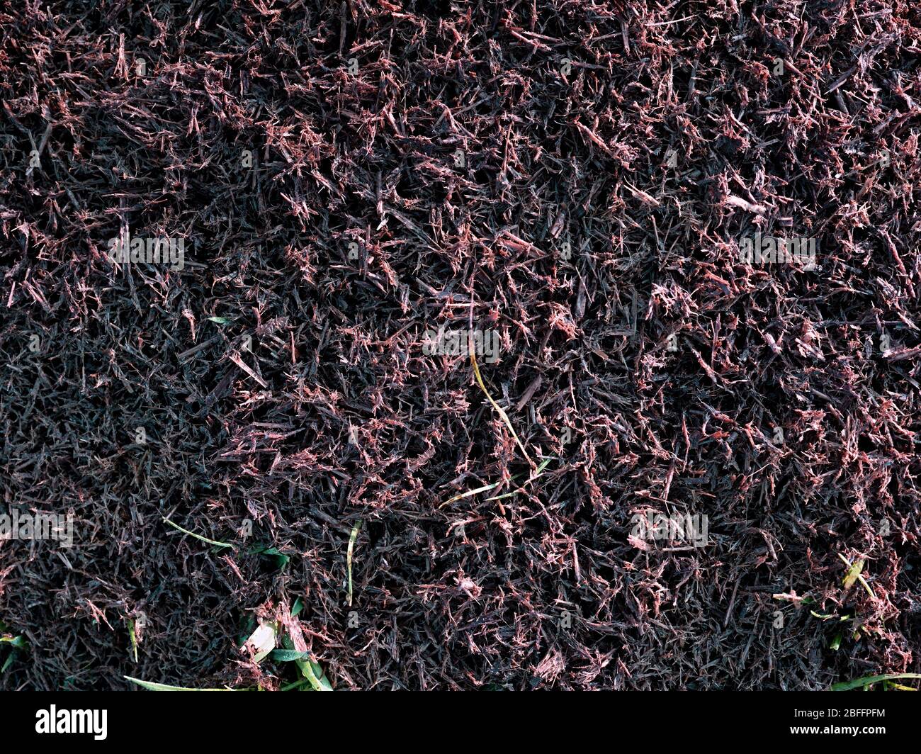 Real rotten chipped stems of grass in corner of garden Stock Photo - Alamy