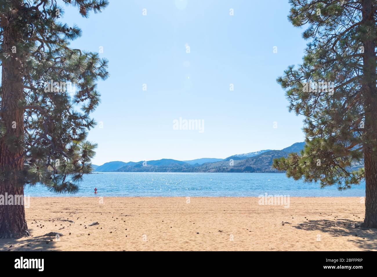 View of Skaha Lake, sandy beach and pine trees, blue sky and mountains ...