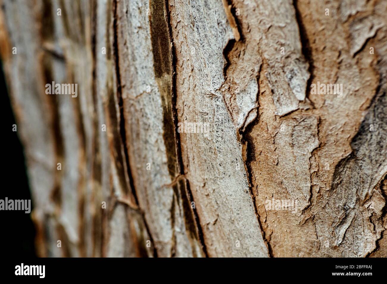 Gritty wood texture hi-res stock photography and images - Alamy