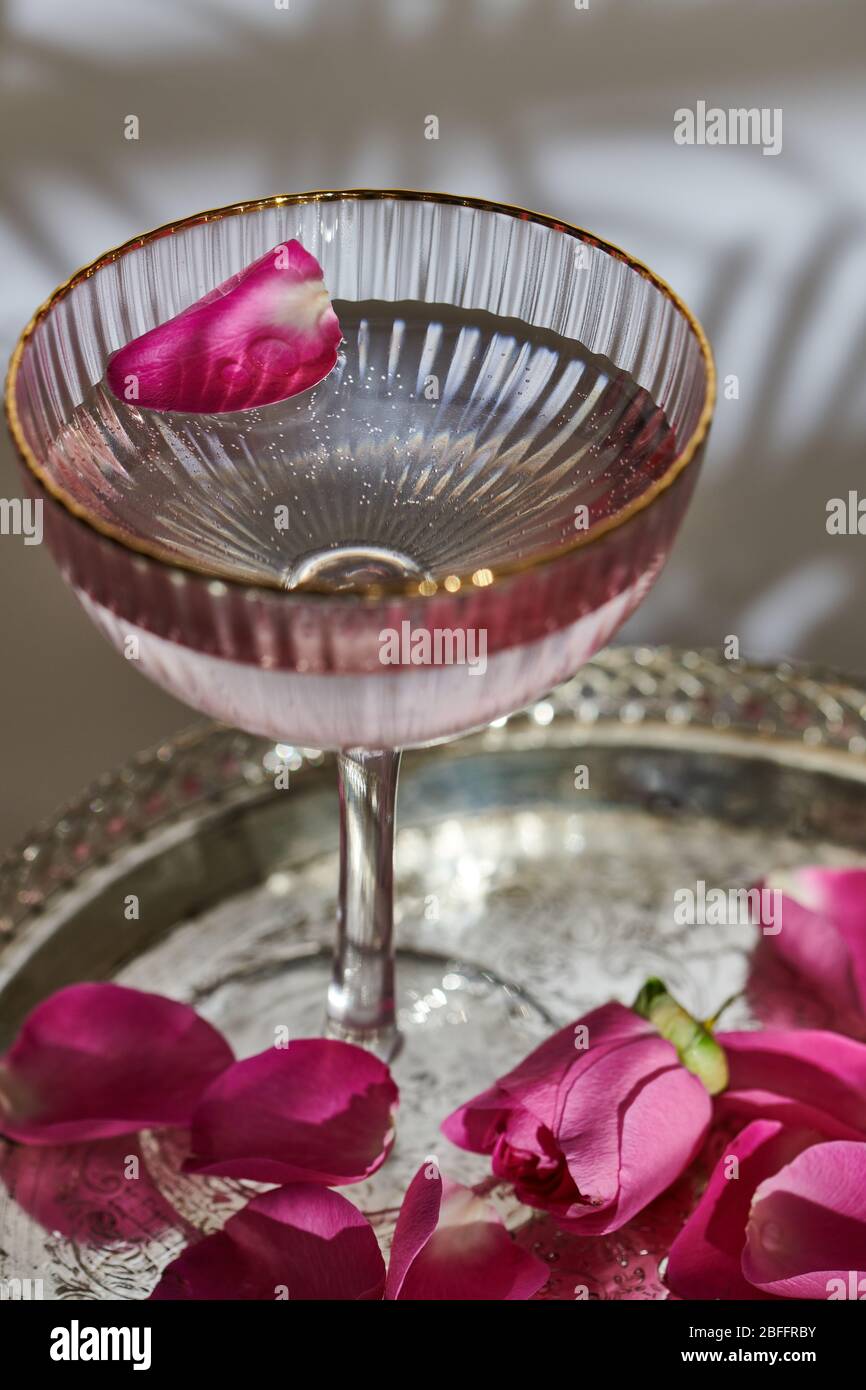Pink rose champagne cocktail in a fine glass with rose petals Stock ...