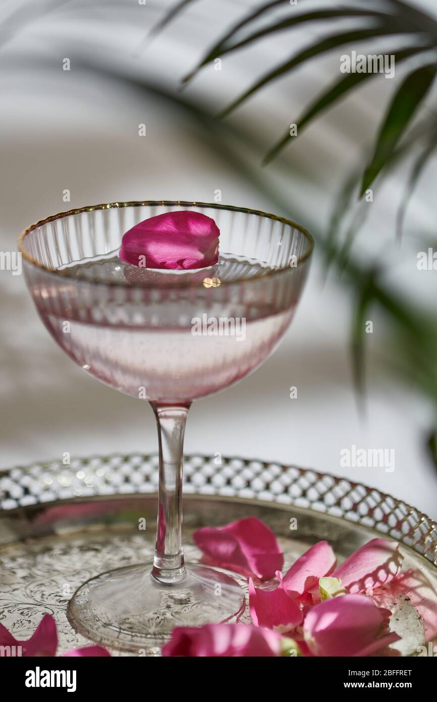 Pink rose champagne cocktail in a fine glass with rose petals Stock ...