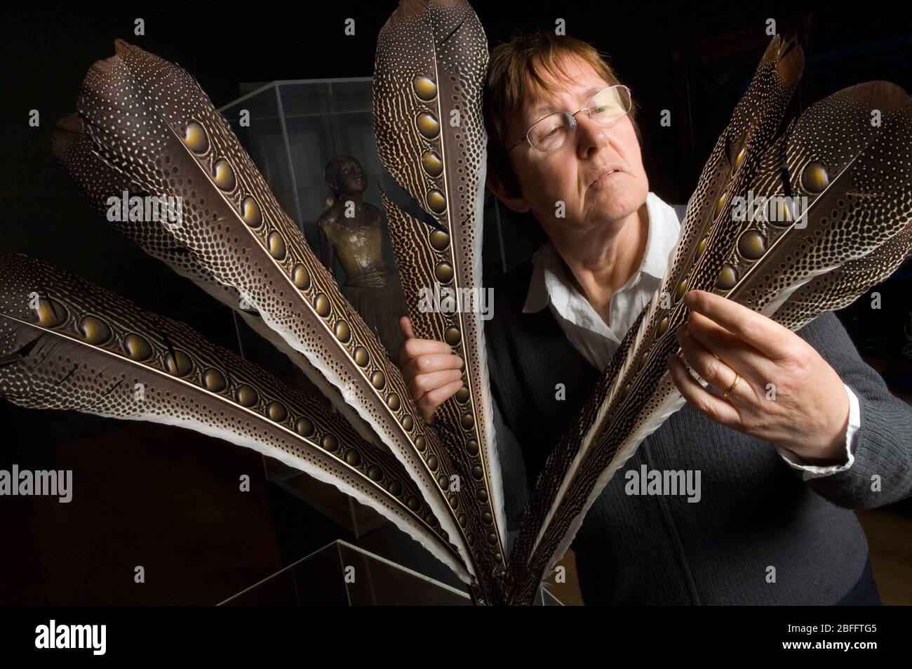 Exhibition curator Diana Donald with Argus pheasant feathers with their ...