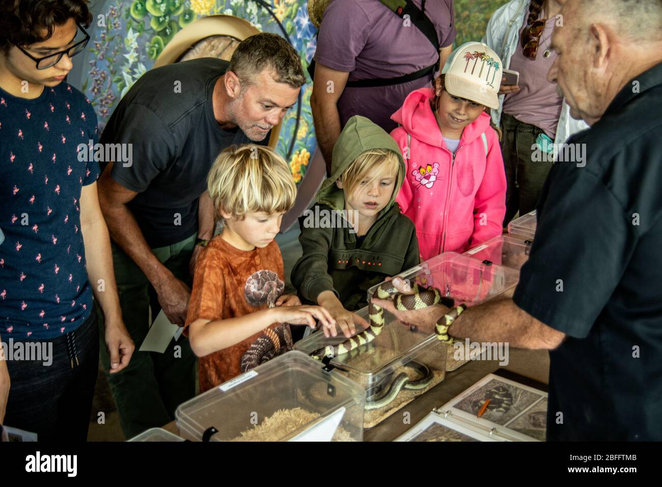Children and parents meet and touch a California Kingsnake ...
