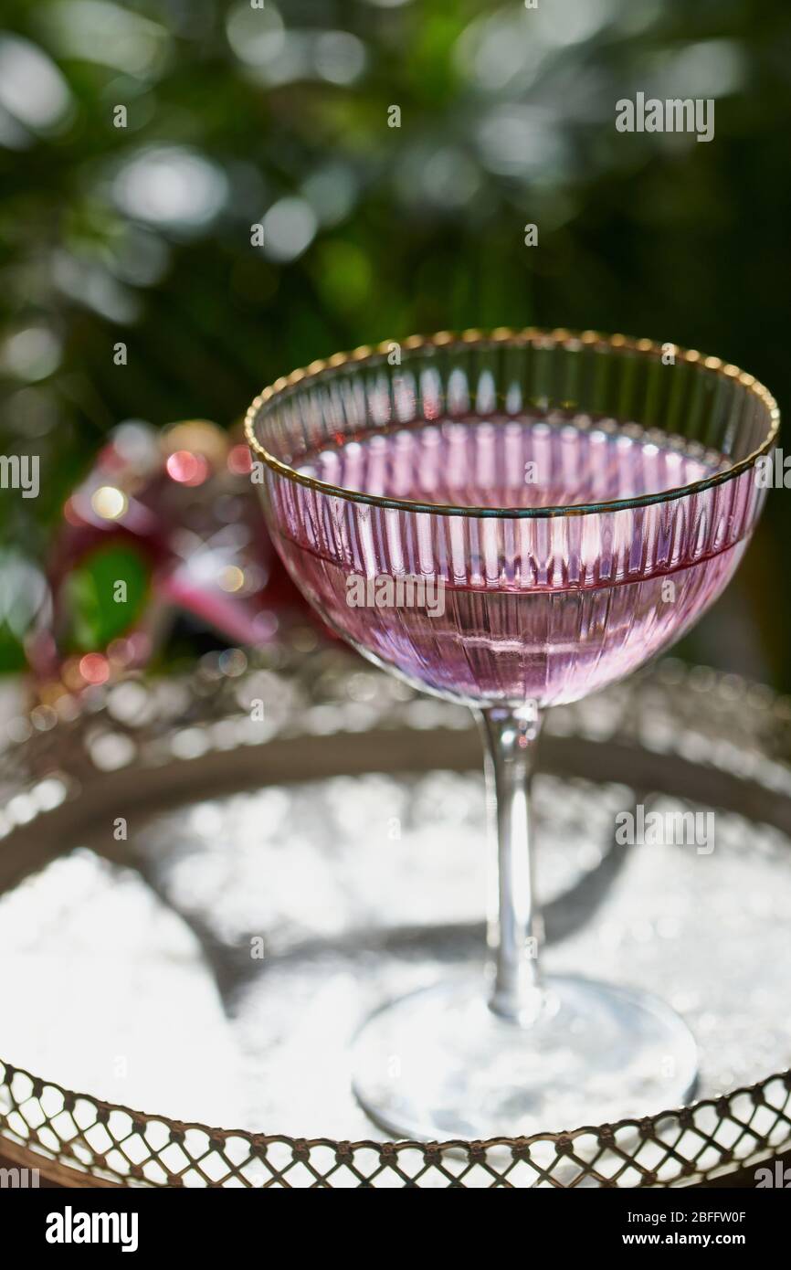 Pink rose champagne cocktail in a fine glass with rose petals Stock ...