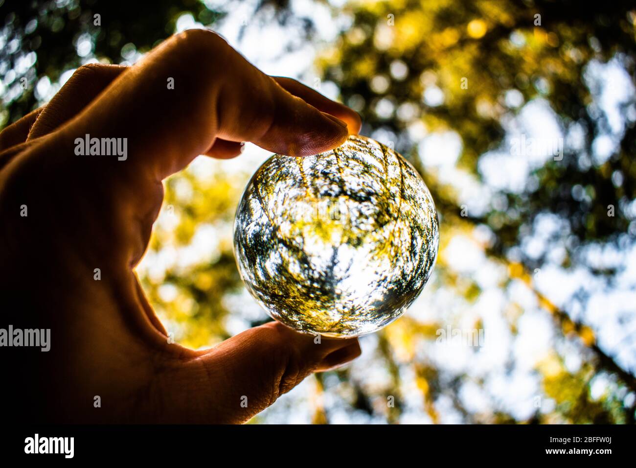 When the nature is waking up during the spring, photography with ...