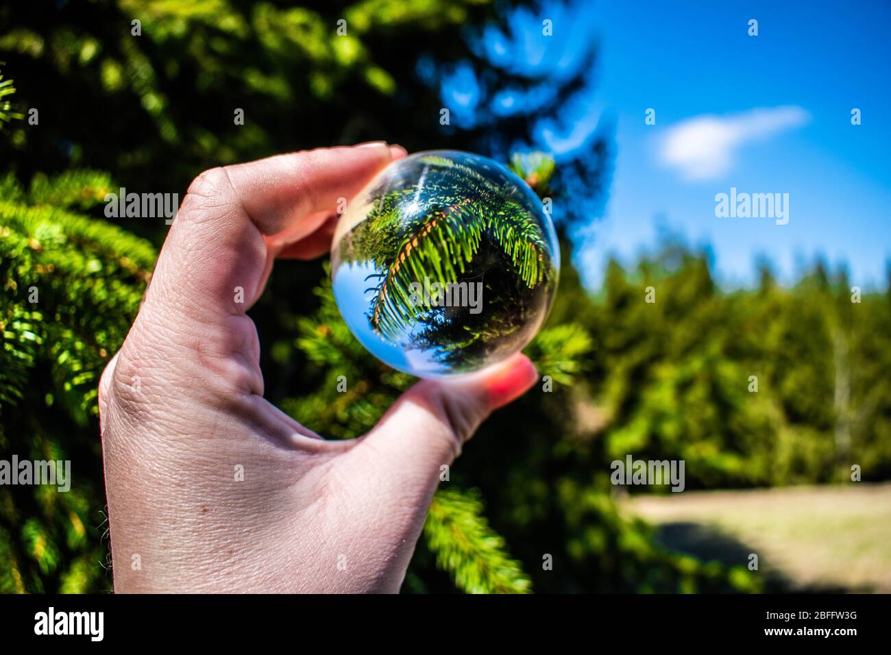 When the nature is waking up during the spring Stock Photo - Alamy