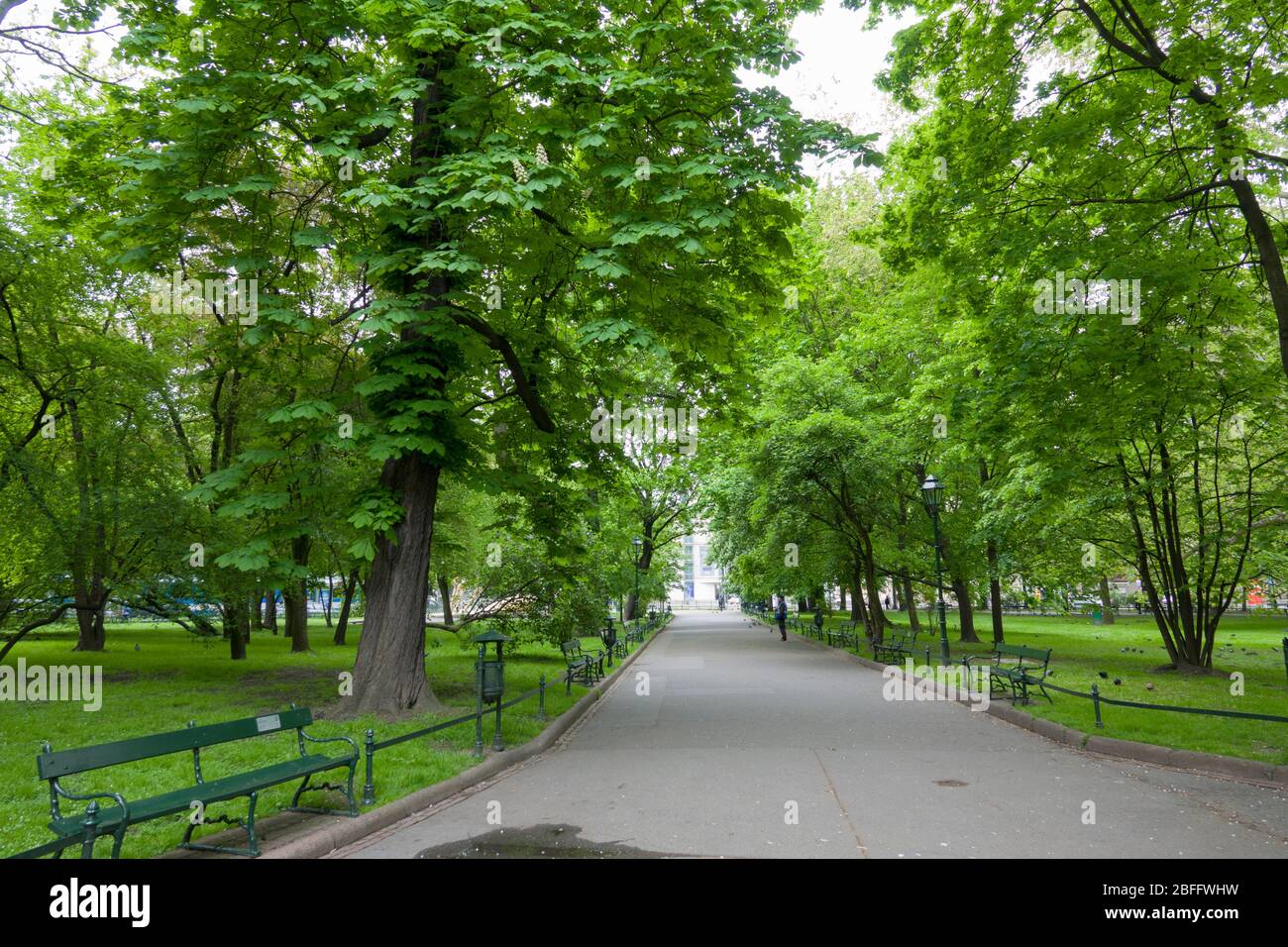 Krakow trees hi-res stock photography and images - Alamy
