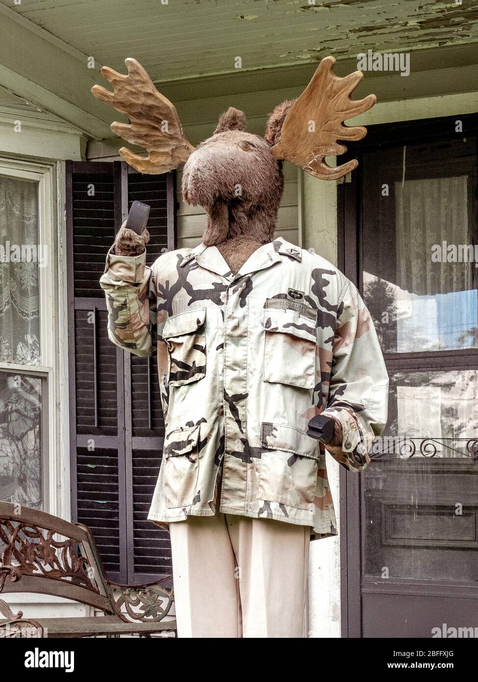 Human with moose hi-res stock photography and images - Alamy