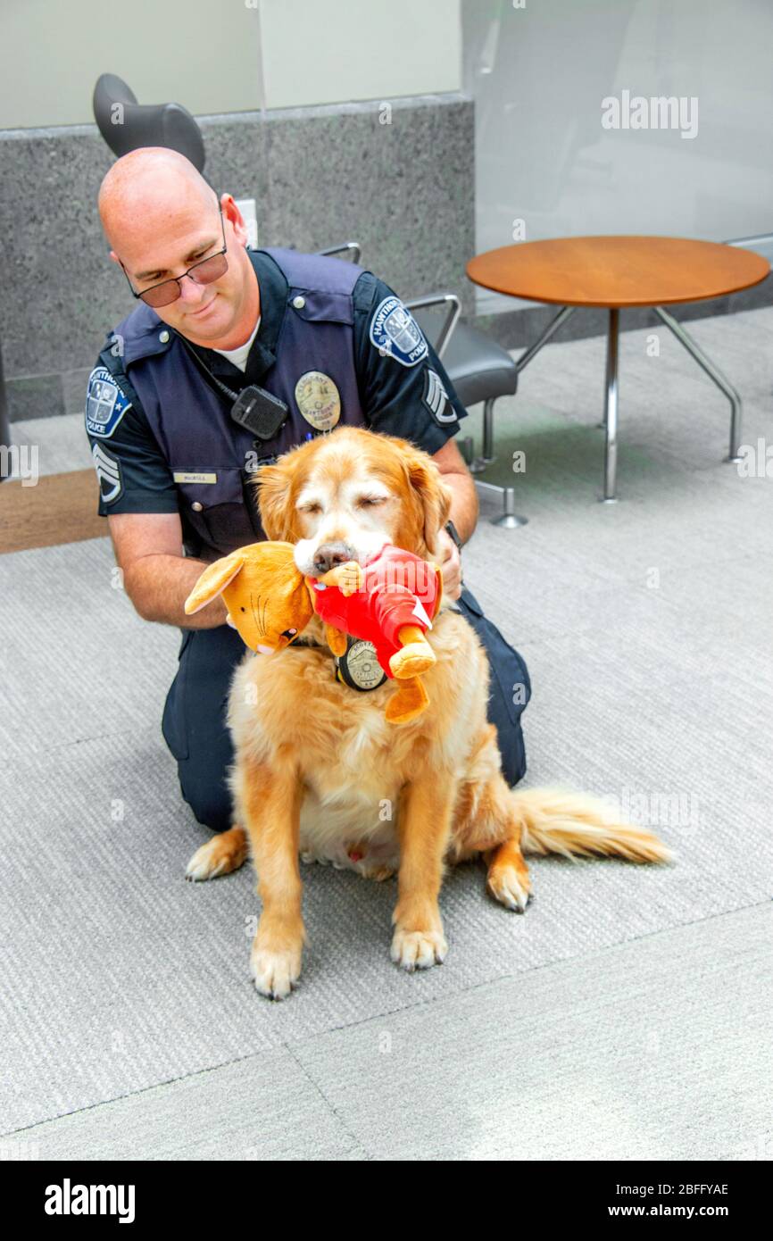 Police man caring police dog hi-res stock photography and images - Alamy