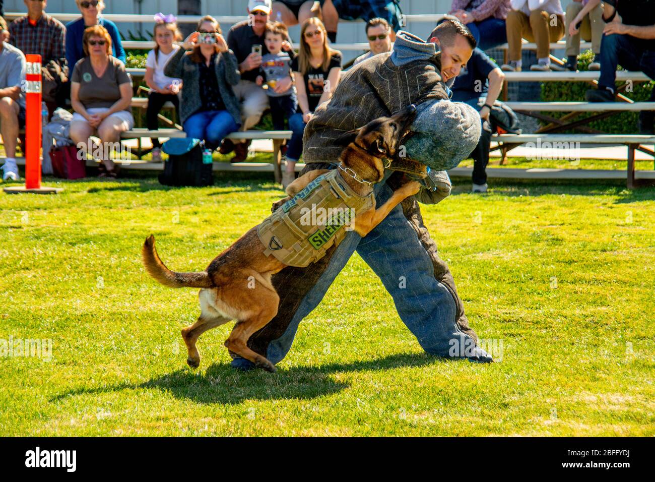 Wearing heavy padding, a Hispanic deputy sheriff demonstrates the ...