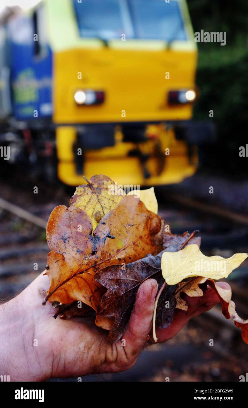 Illustrative image of leaves on a train track Stock Photo - Alamy