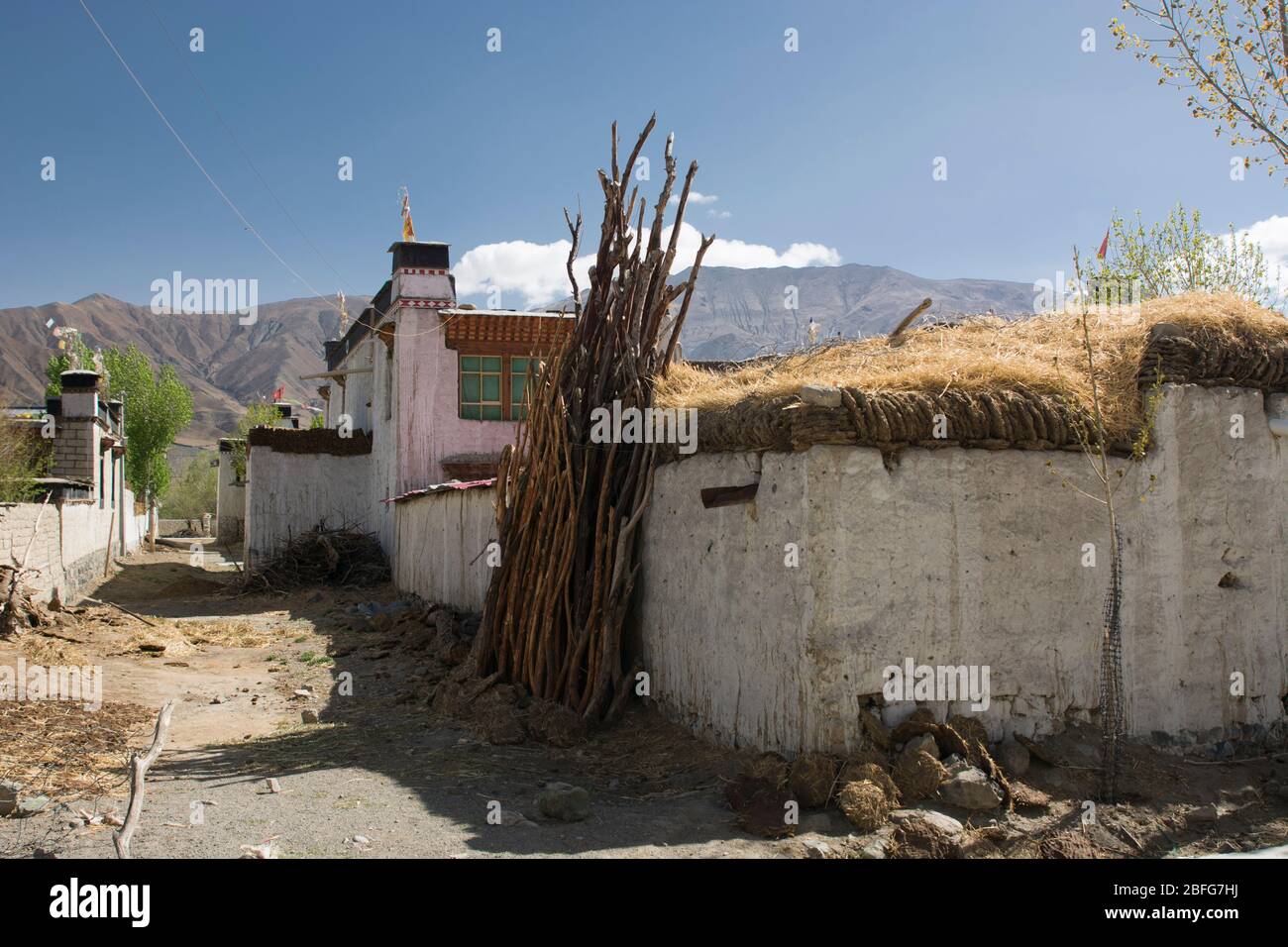 A small village in the Nyang River valley, Tibet Stock Photo - Alamy
