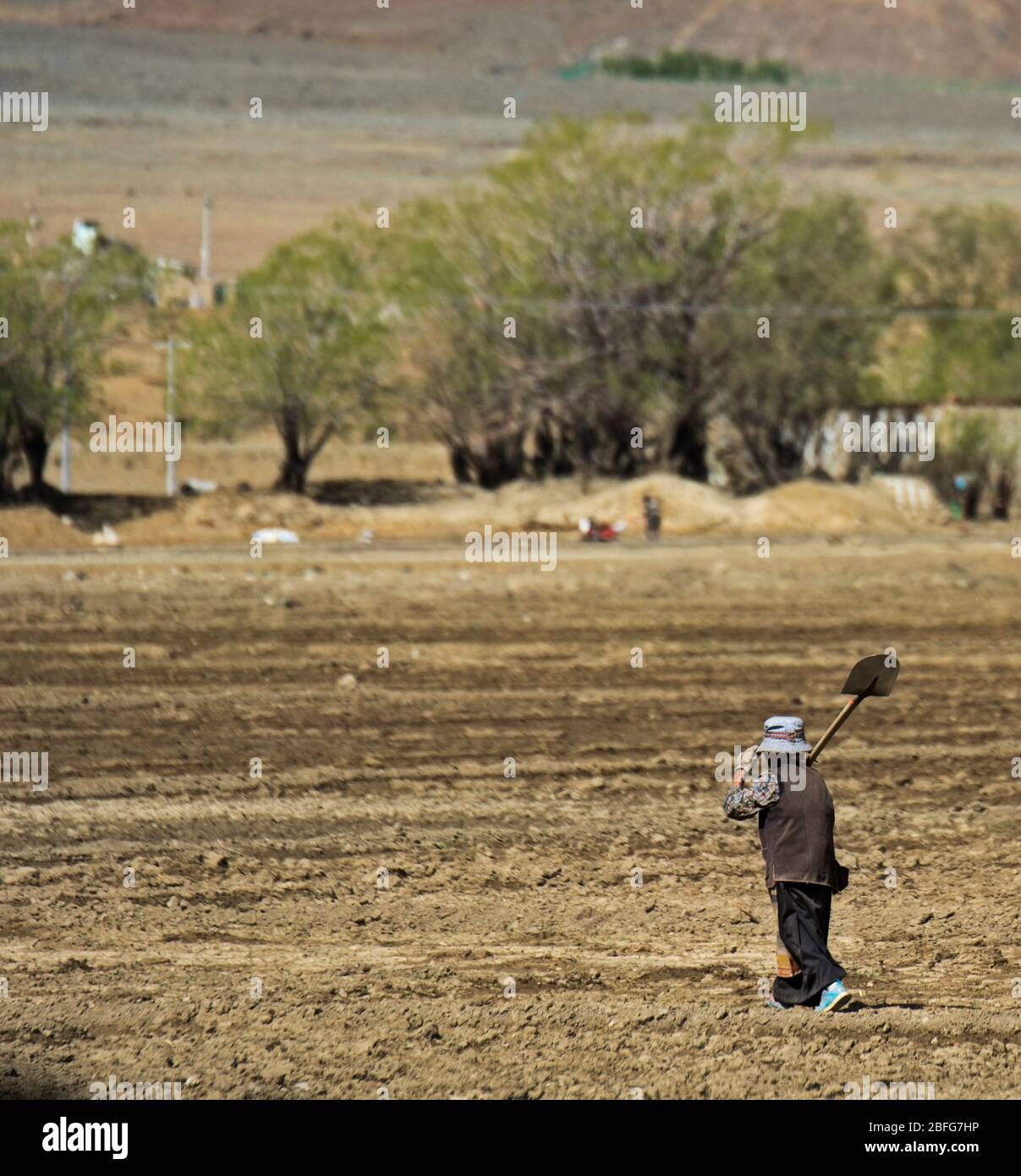 Agricultural livelihood hi-res stock photography and images - Alamy