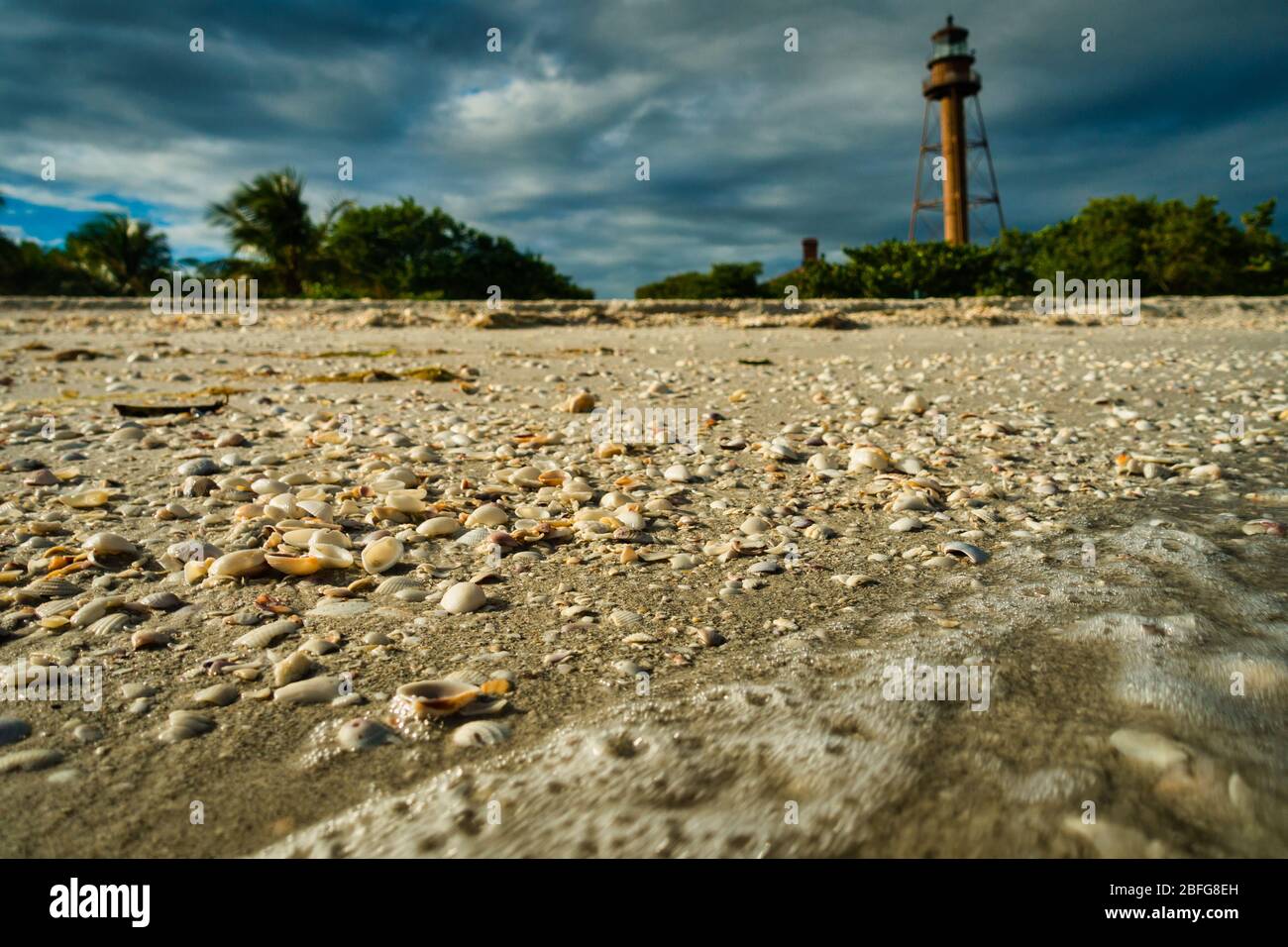 Sanibel island florida and shells hi-res stock photography and images ...