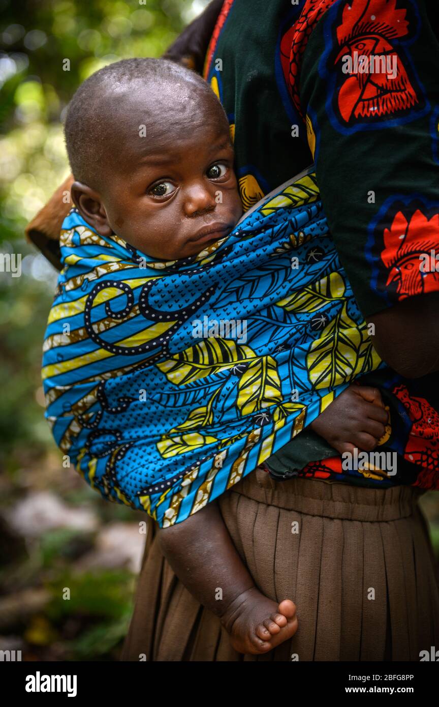 The Pygmies in Uganda Stock Photo - Alamy
