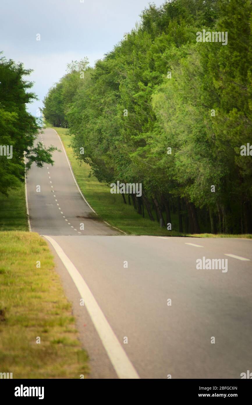 Undulating road on a hillside in a wooded area of San Luis, Argentina ...