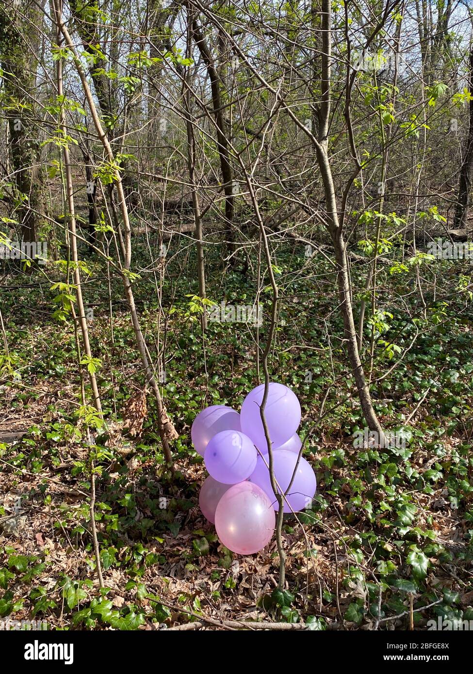 New york city balloons birthday hi-res stock photography and images - Alamy