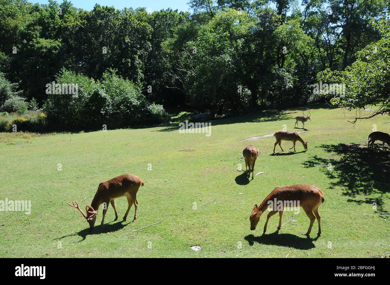 Bronx, New York, USA 3rd September 2013 A general view of atmosphere of ...