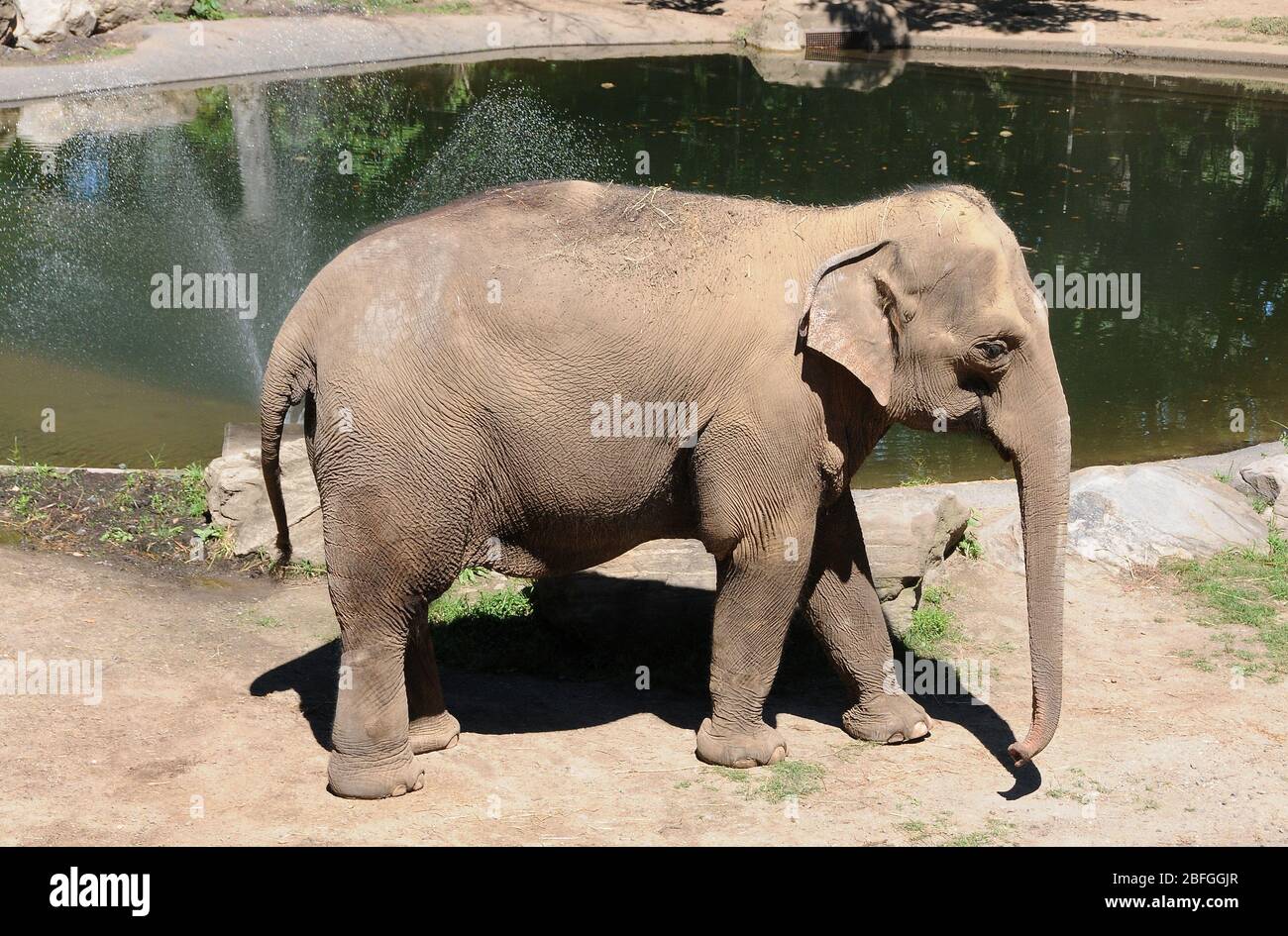 Bronx, New York, USA 3rd September 2013 A general view of atmosphere of ...