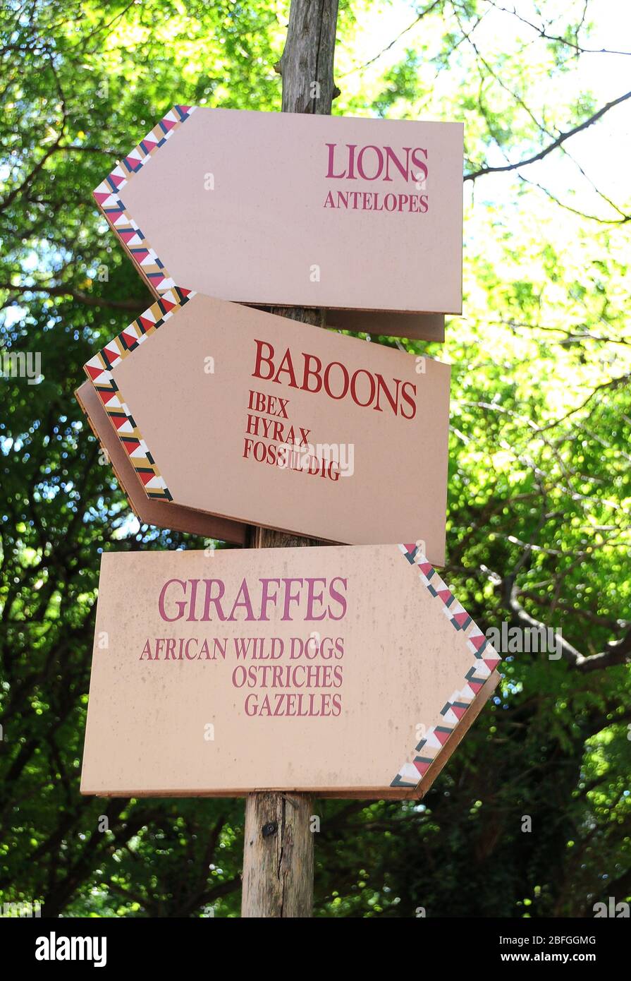 Bronx zoo world of birds hi-res stock photography and images - Alamy