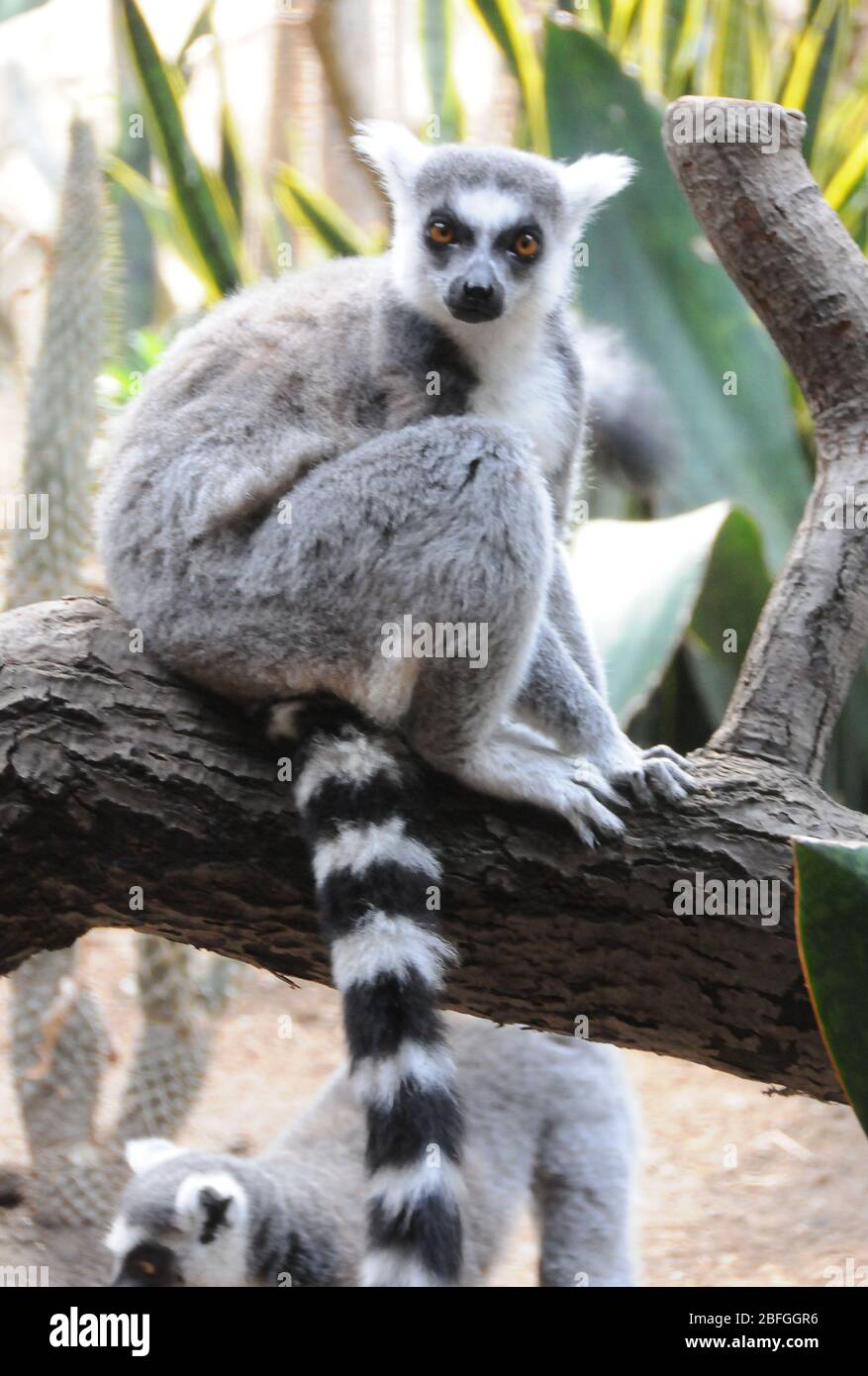 Bronx, New York, USA 3rd September 2013 A general view of atmosphere of ...