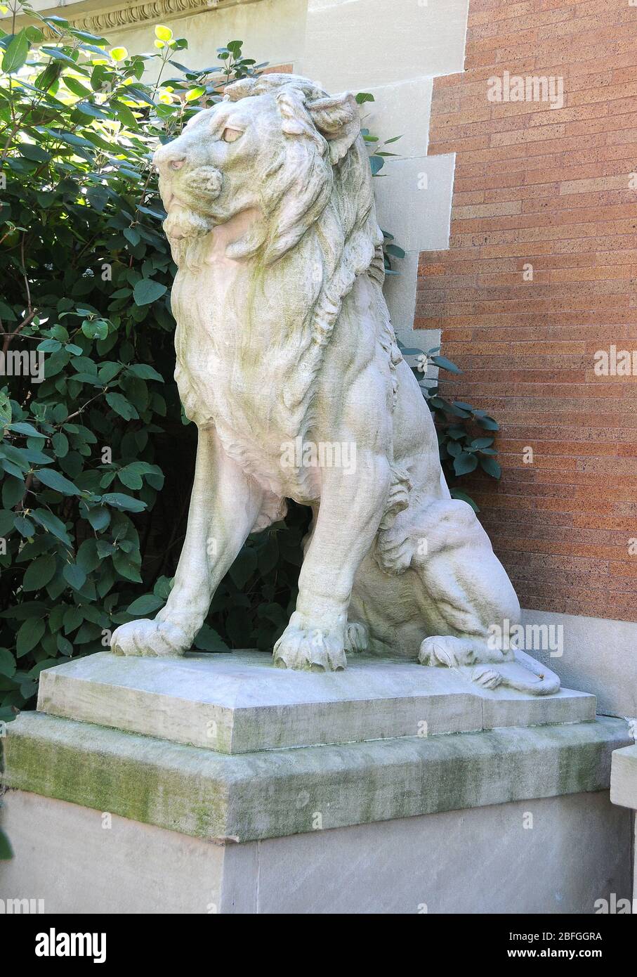 Bronx zoo tiger mountain hi-res stock photography and images - Alamy