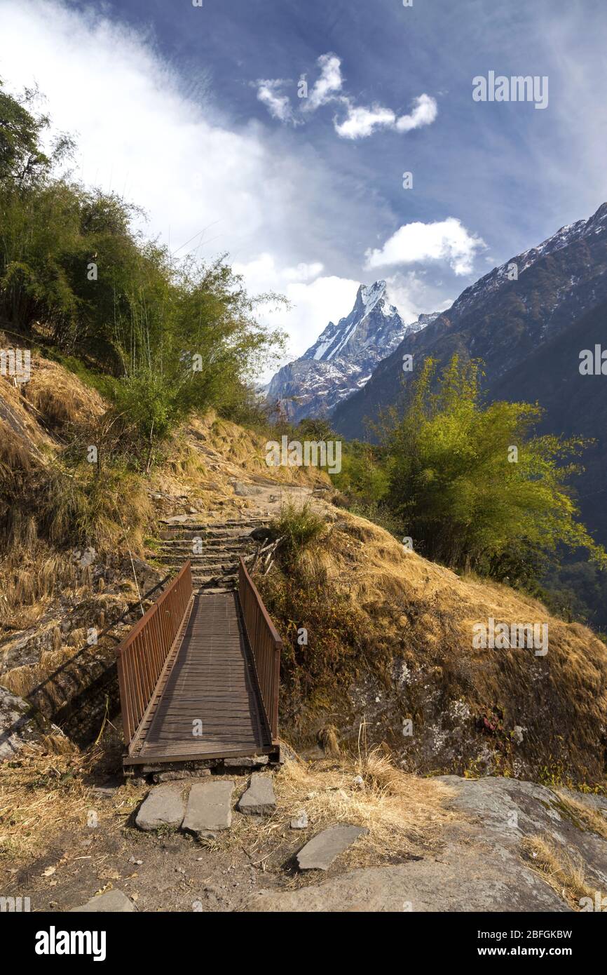 Nepal trail bridge forest hi-res stock photography and images - Alamy