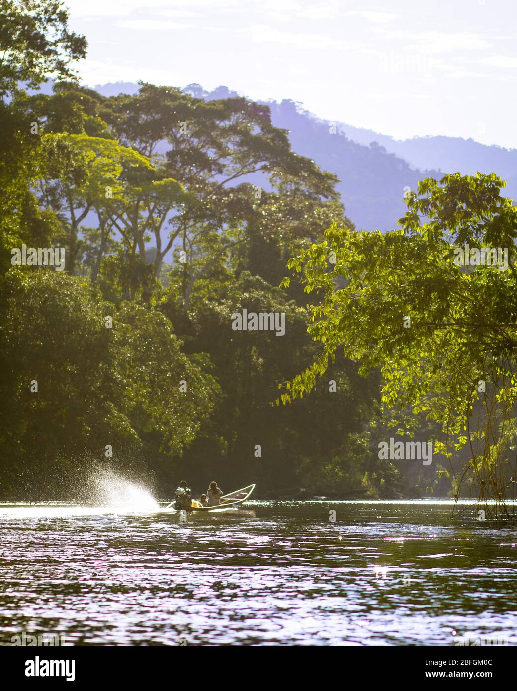 Shuar Indigenous Community in the Amazon, Ecuador Stock Photo - Alamy