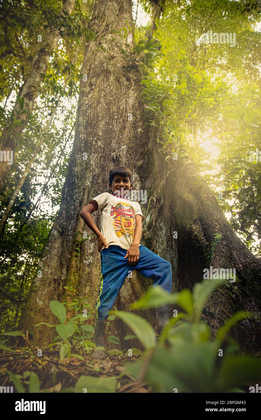 Shuar Indigenous Community in the Amazon, Ecuador Stock Photo - Alamy