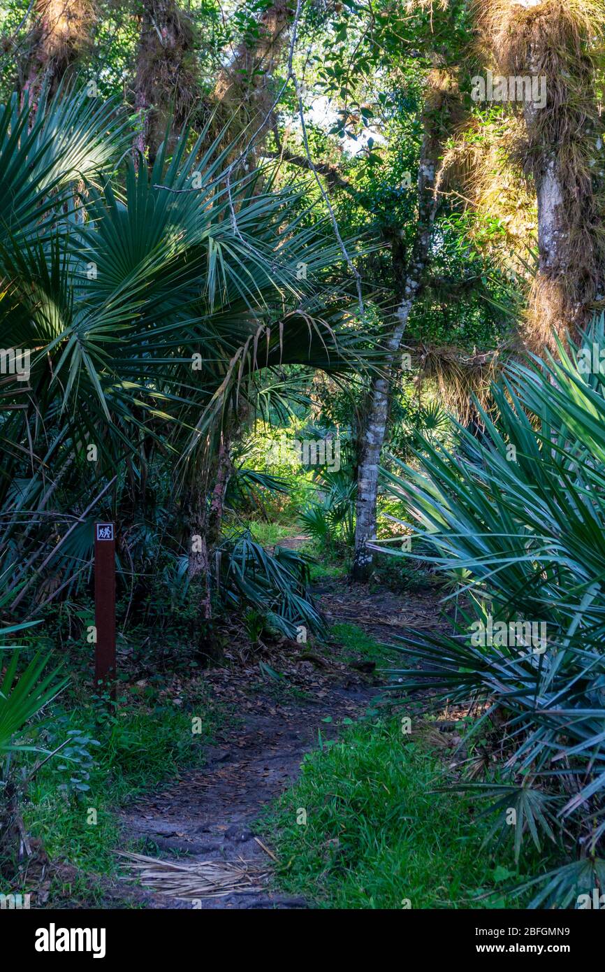 Hiking trail in Florida woods with trail marker sign at Halpatiokee ...