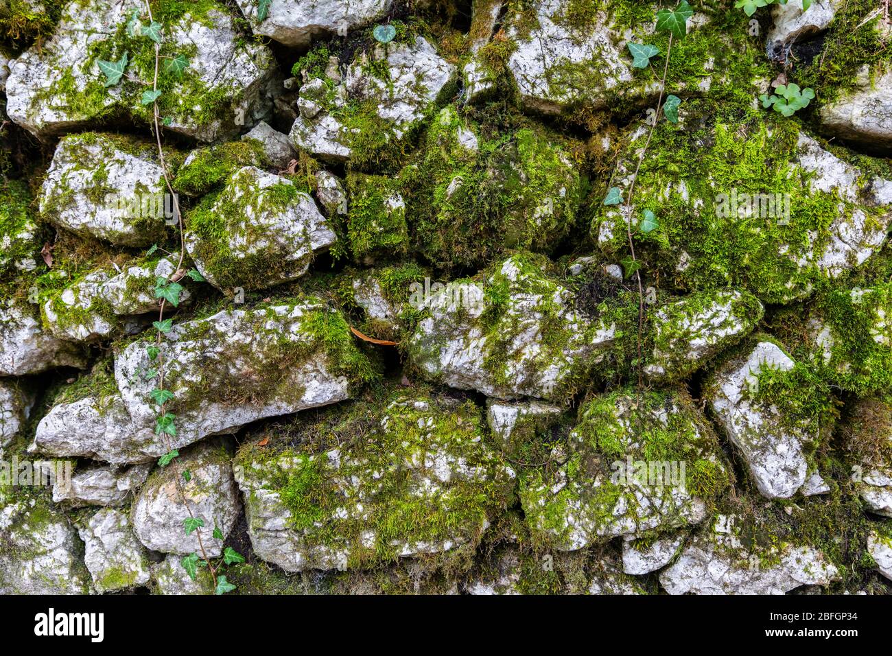 Layered green texture hi-res stock photography and images - Alamy