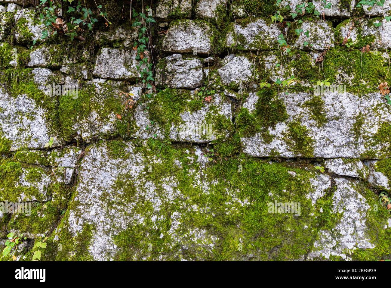 Background wall of arranged rocks in layers covered by green moss Stock ...