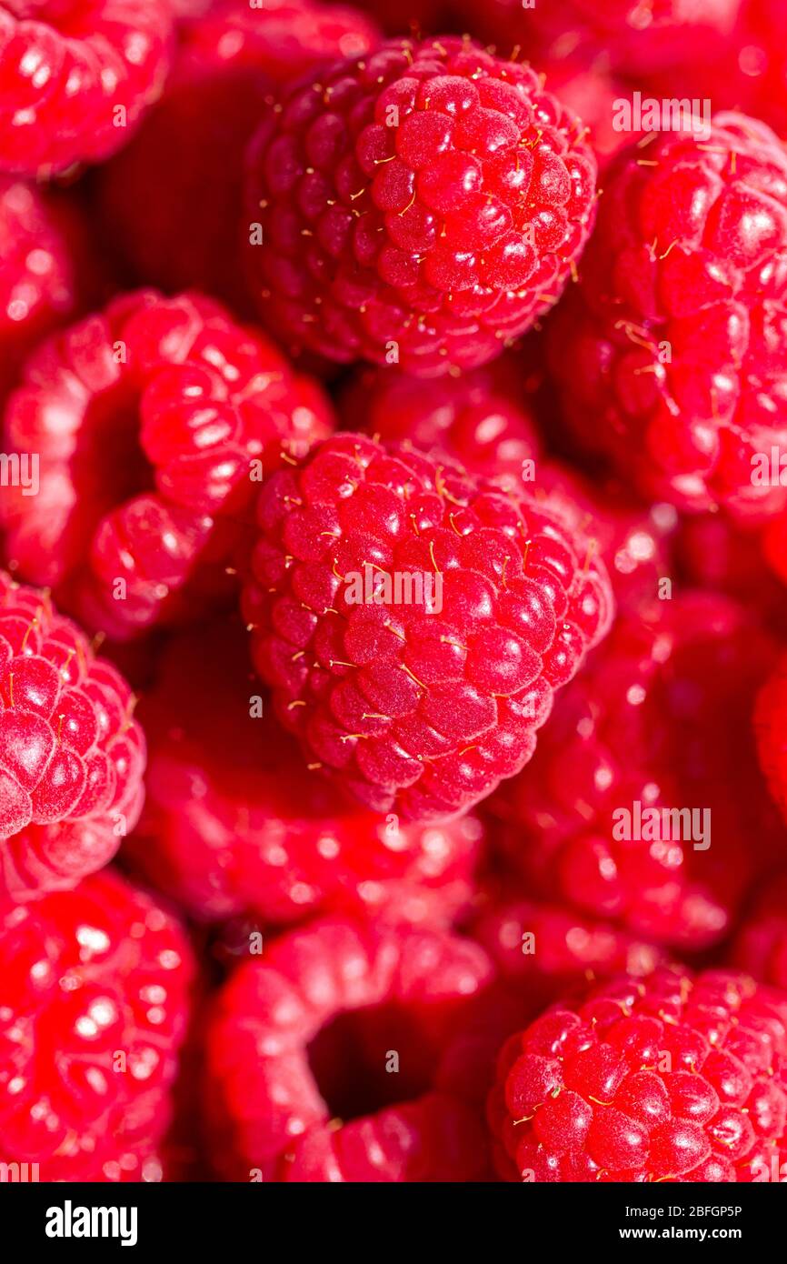 Details of ripe red raspberries Stock Photo - Alamy