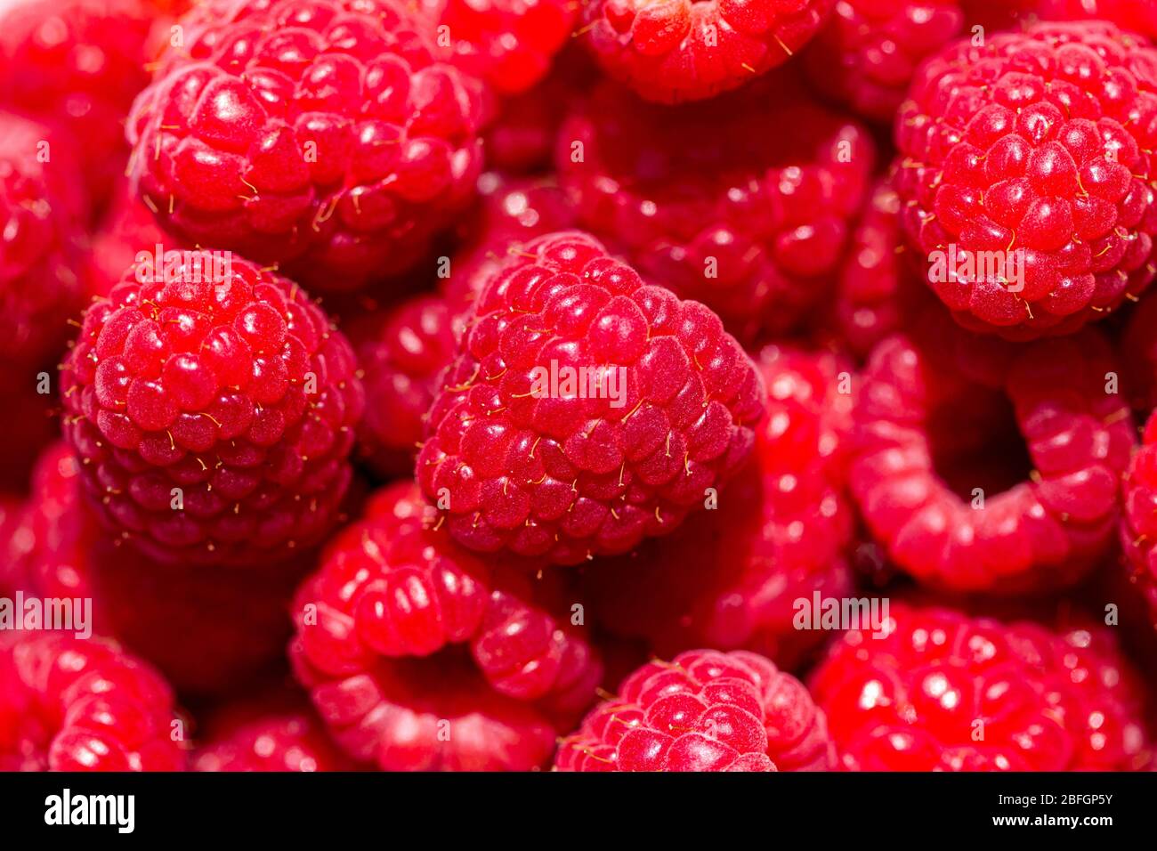 Details of ripe red raspberries Stock Photo - Alamy